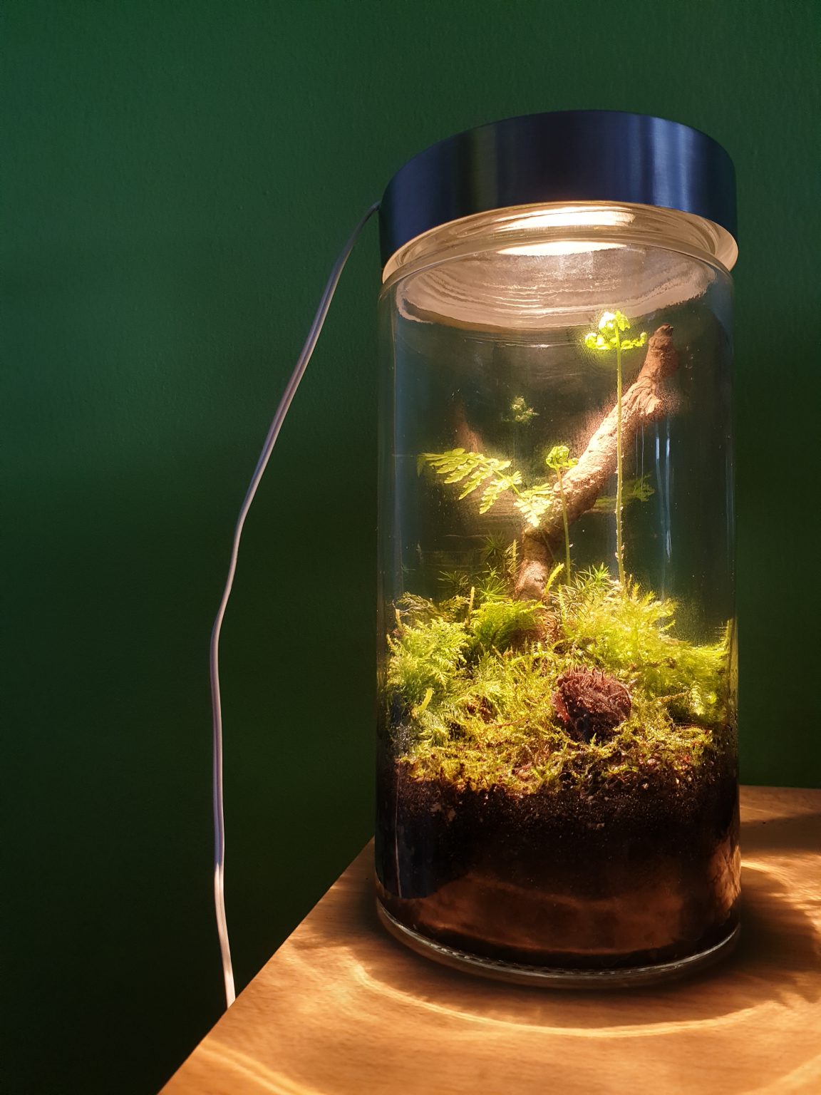 Bildergalerie • Mini-biospheres