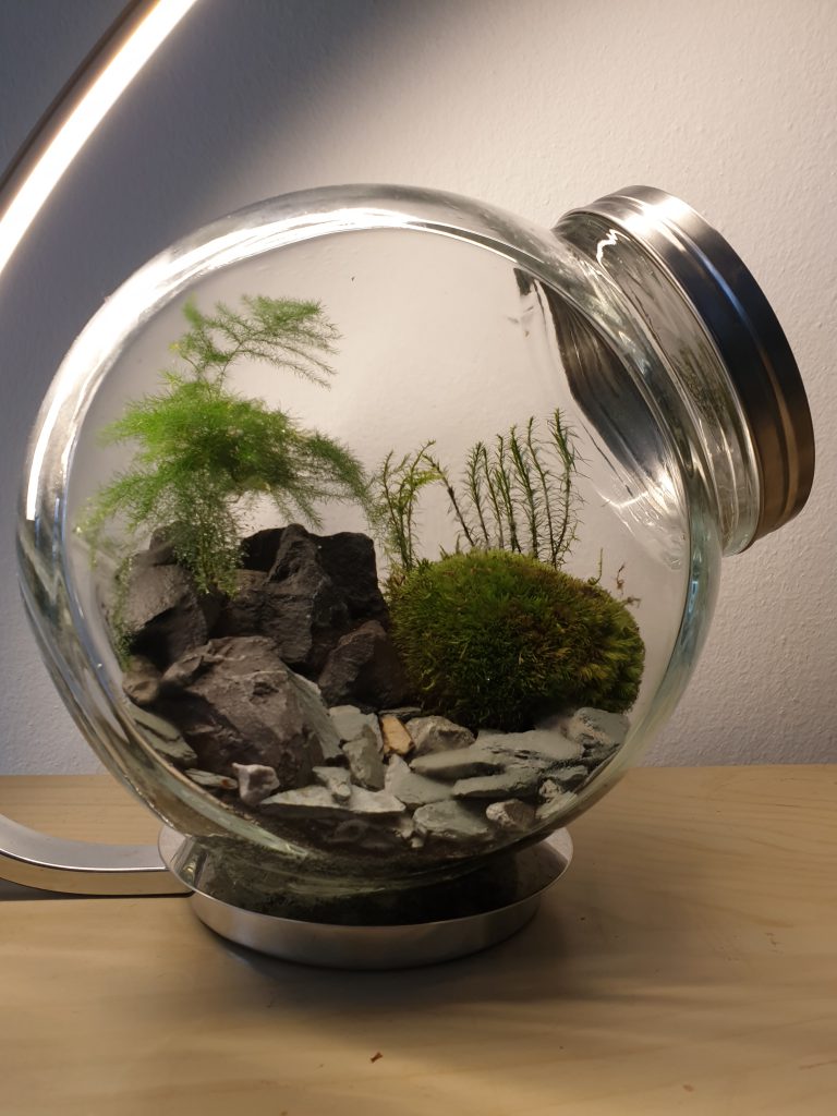 Bildergalerie • Mini-biospheres