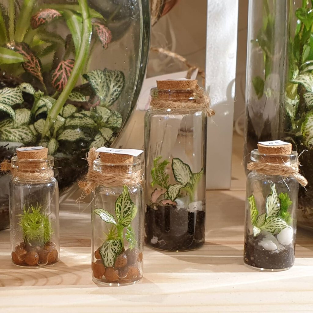 Bildergalerie • Mini-biospheres