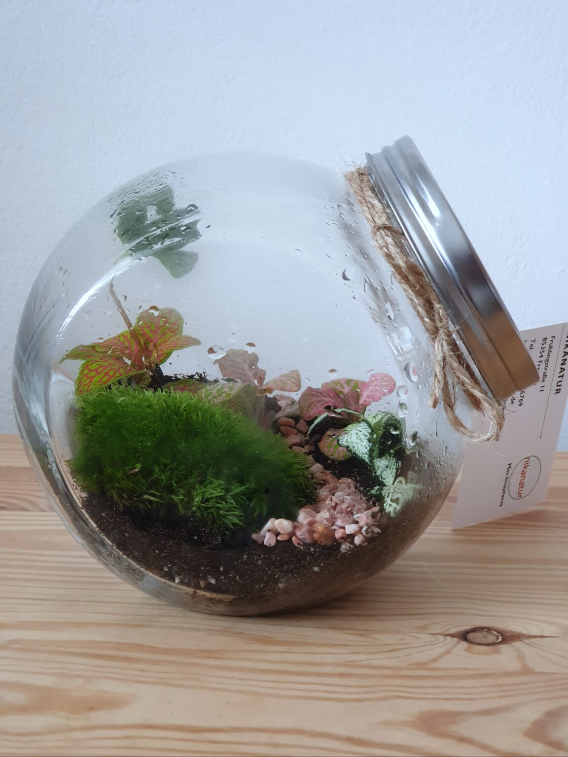 Laden • Mini-biospheres